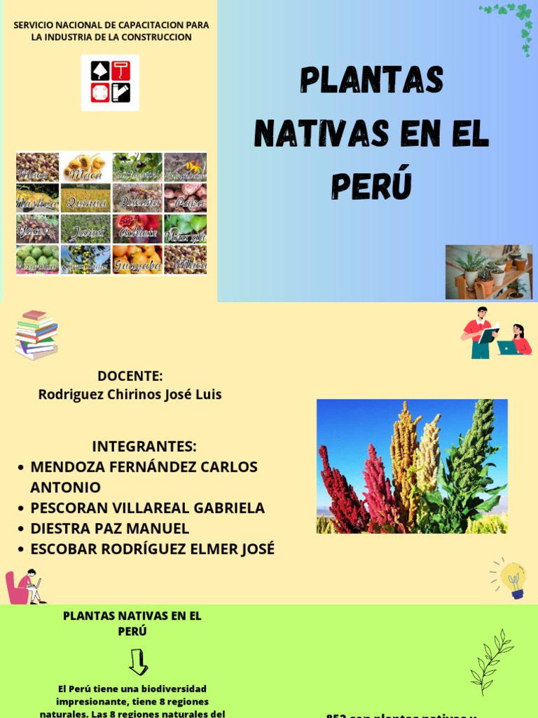 Plantas Nativas | PDF | Cereales | Quinua