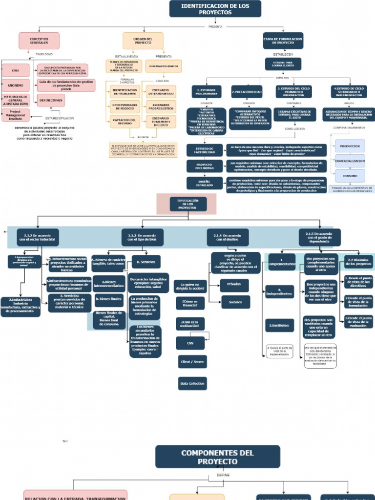 Mapas Conecptuales Proyecto. | PDF