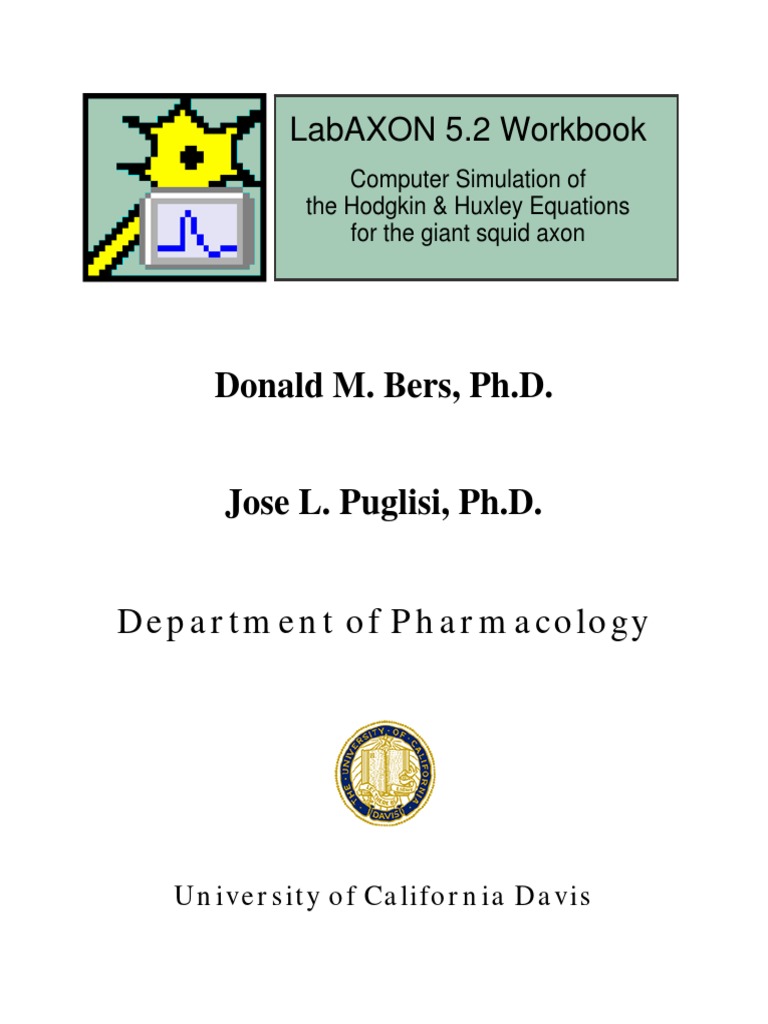 LabAXON: Hodgkin-Huxley Simulation | PDF | Action Potential | Stimulus ...