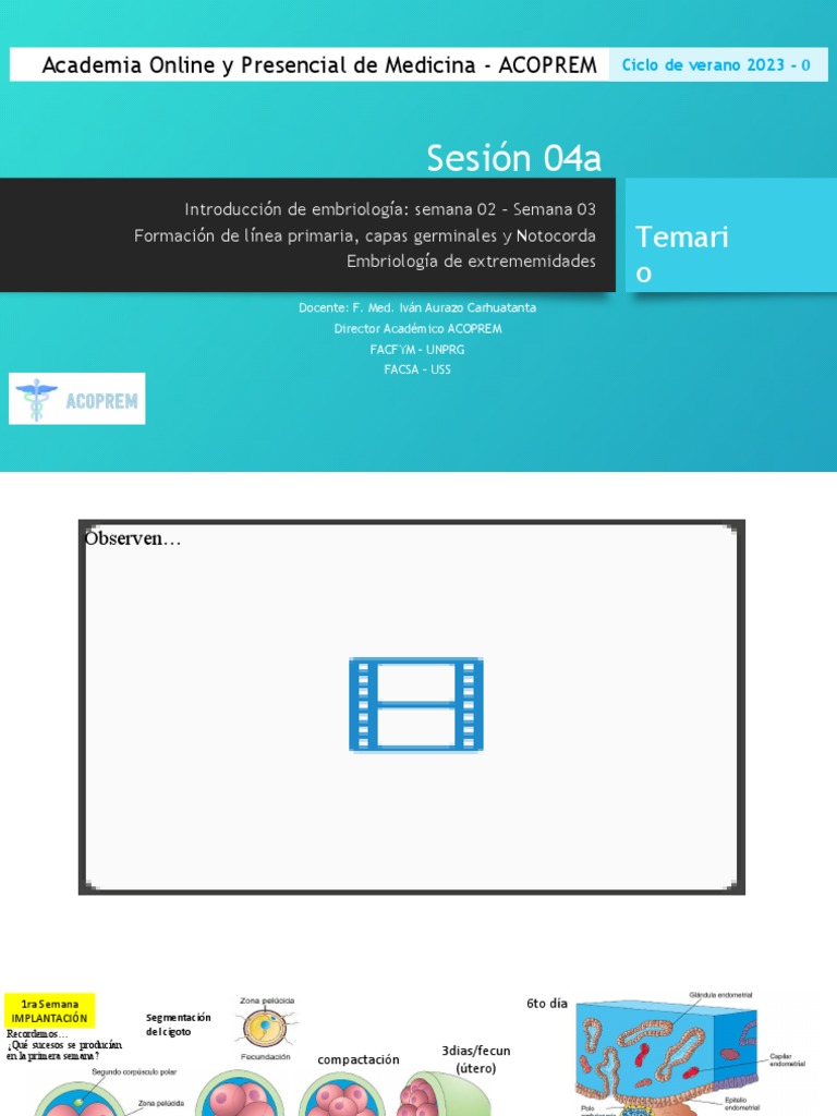 Embriología: Gastrulación y Notocorda | PDF | Embrión | Histología