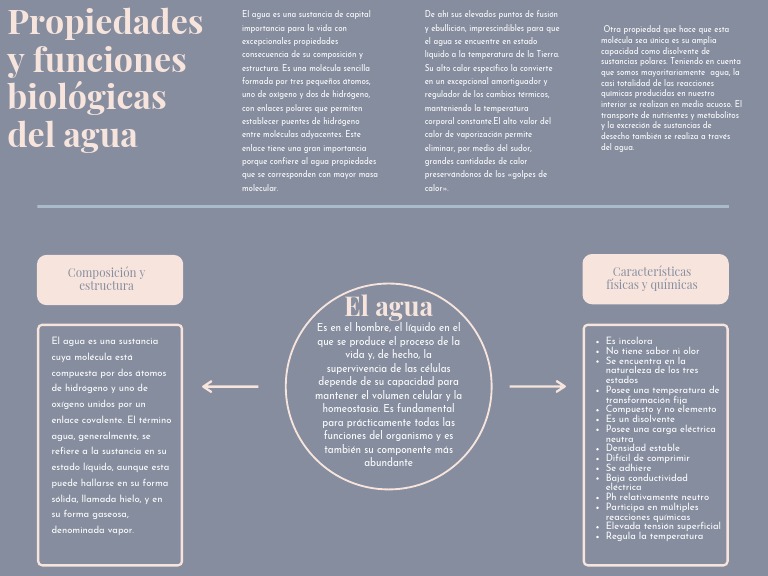 Propiedades y Funciones Biológicas Del Agua | PDF
