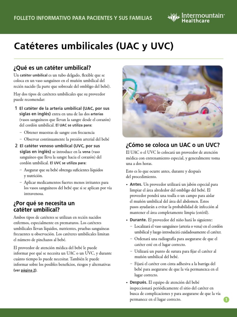 Umbilical Catheters (UAC and UVC) Fact Sheet Spani - 230420 - 113927 ...