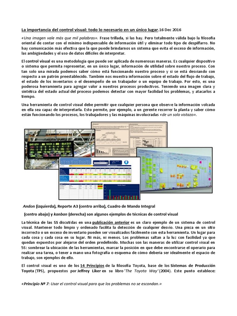 01 - La Importancia Del Control Visual | PDF | Información