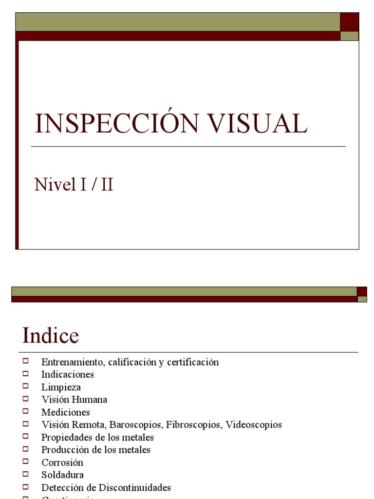 Inspeccion Visual | PDF | Tecnología