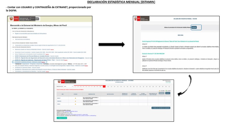 Declaración Estadístico Mensual (ESTAMIN) | PDF