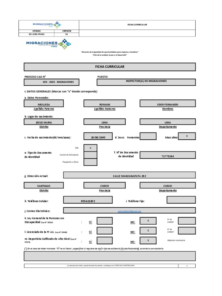 Ficha Curricular | PDF