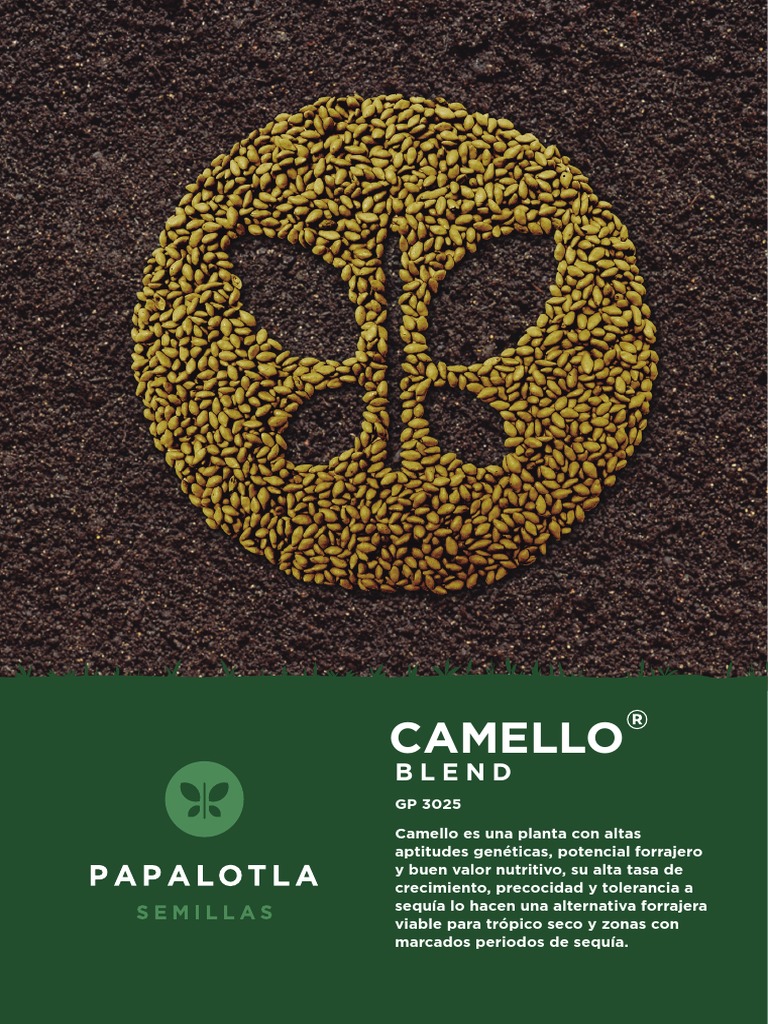 Camello: Blend | PDF