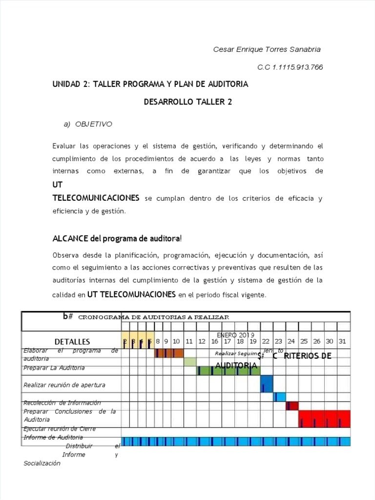 PDF Taller Programa y Plan de Auditoria - Compress | PDF | Auditoría | Planificación