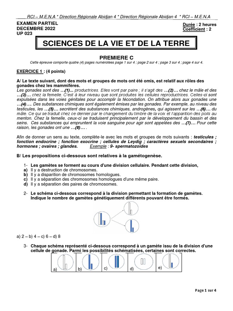 PARTIEL REGIONAL 1ec | PDF
