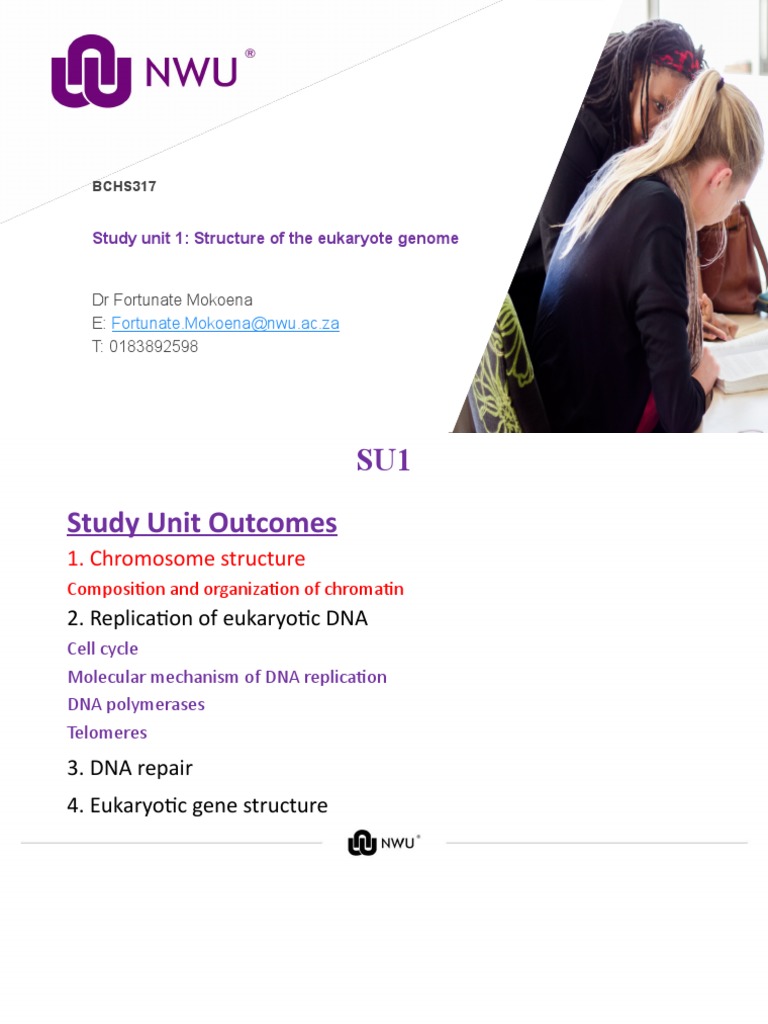 BCHS317 SU1.1 - DNA Replication - Cell Cycle - FM | PDF | Cell Cycle | Mitosis