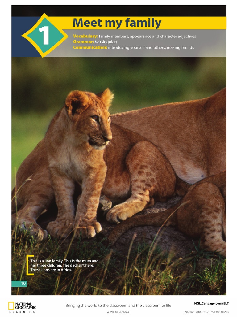 Lion Family Introduction in Africa | PDF | Grandparent | Penguin