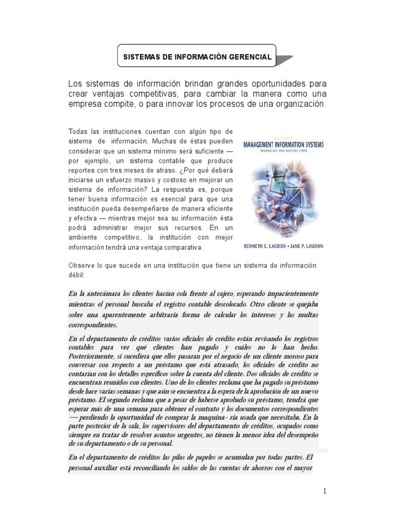 Unid Ii Sistema de Informacion Gerencial | PDF