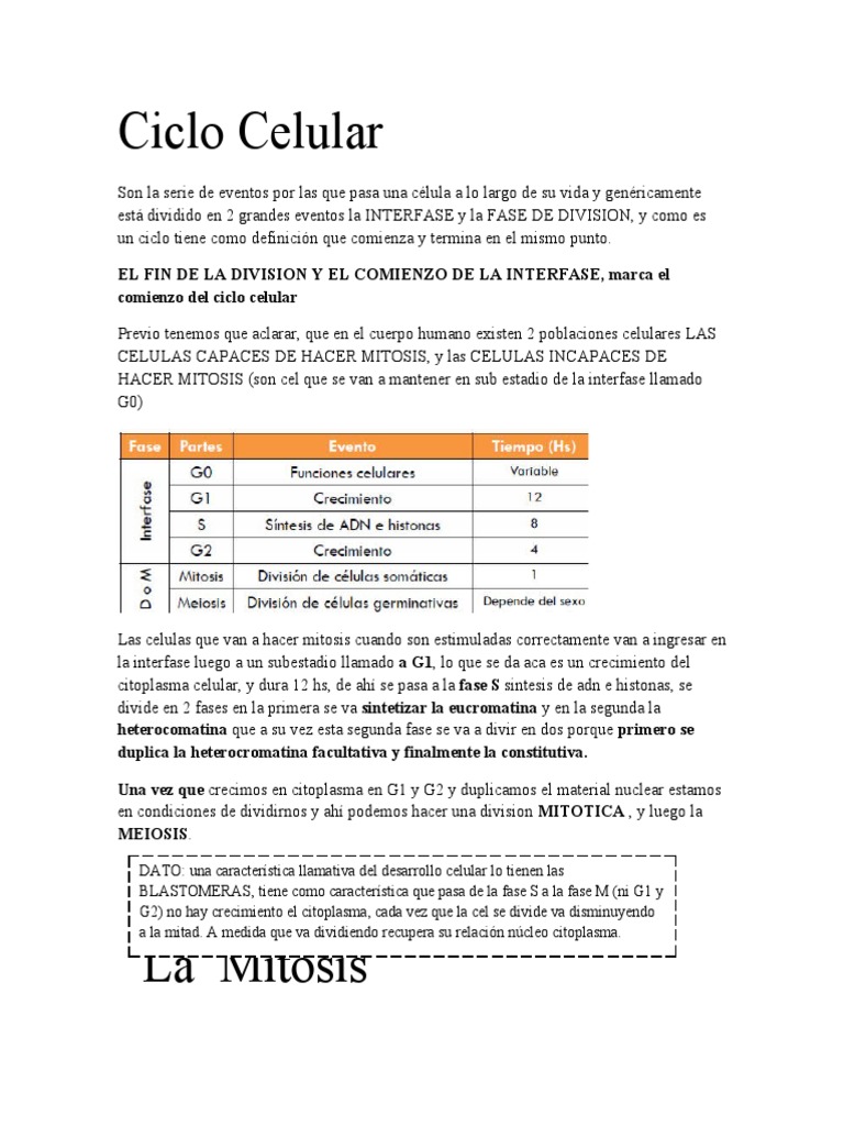 Ciclo Celular | PDF