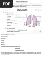 05 Tejidos Epiteliales III Especializaciones Del Dominio Basolateral ...