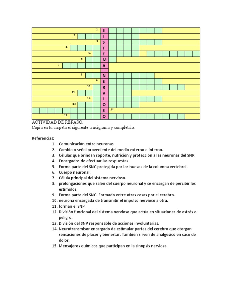 3 ° B Crucigrama Sistema Nervioso | PDF