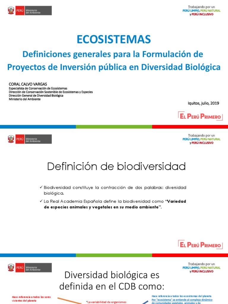 GFBD - Ecosistemas Iquitos | PDF