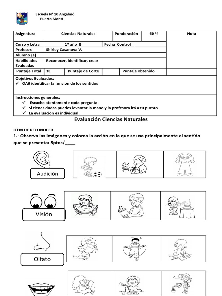 Prueba de Los Sentidos | PDF
