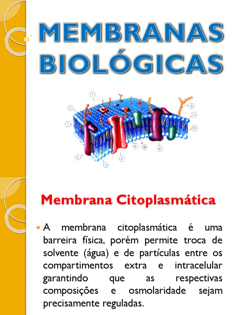 Membranas Biológicas | PDF | Membrana celular | Osmose