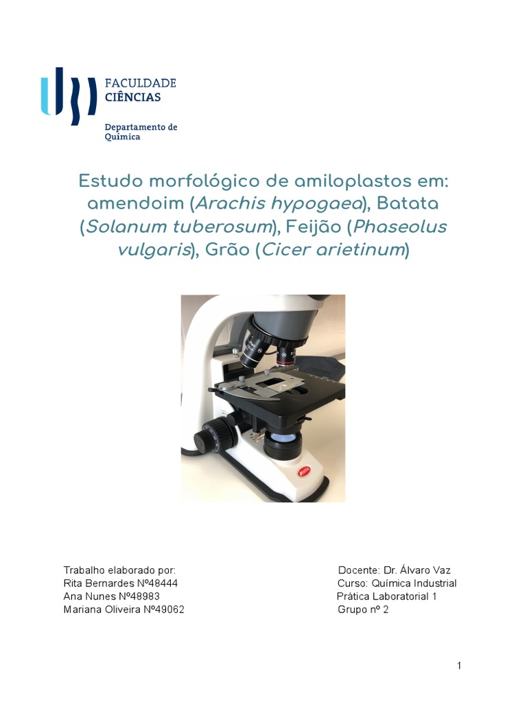 Estudo Morfológico de Amiloplastos Em: Amendoim (Arachis Hypogaea ...