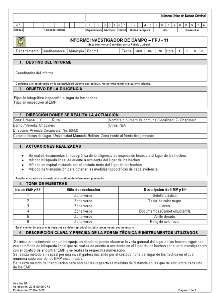 Informe Investigador de Campo - FPJ - 11 | PDF