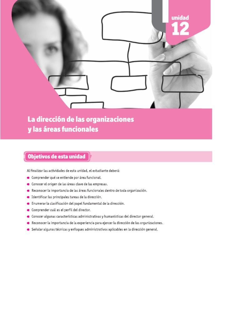 Cap 12-Areas Funcionales | PDF
