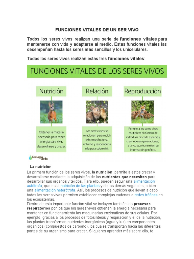 Funciones Vitales: Nutrición y Reproducción | PDF | Plantas | Organismos