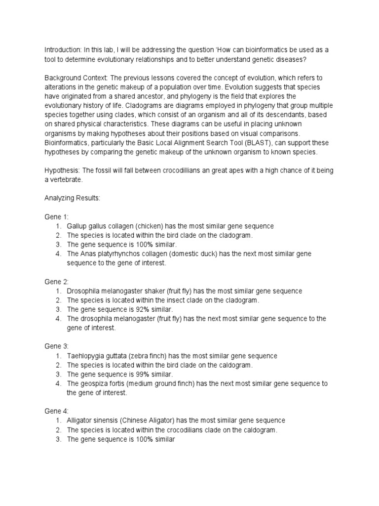 Ap Bio Blast Lab Report | PDF | Phylogenetic Tree | Evolution