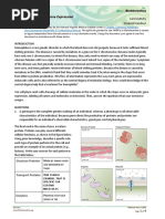 Persivate Ointment & Cream Info | PDF | Topical Medication | Corticosteroid