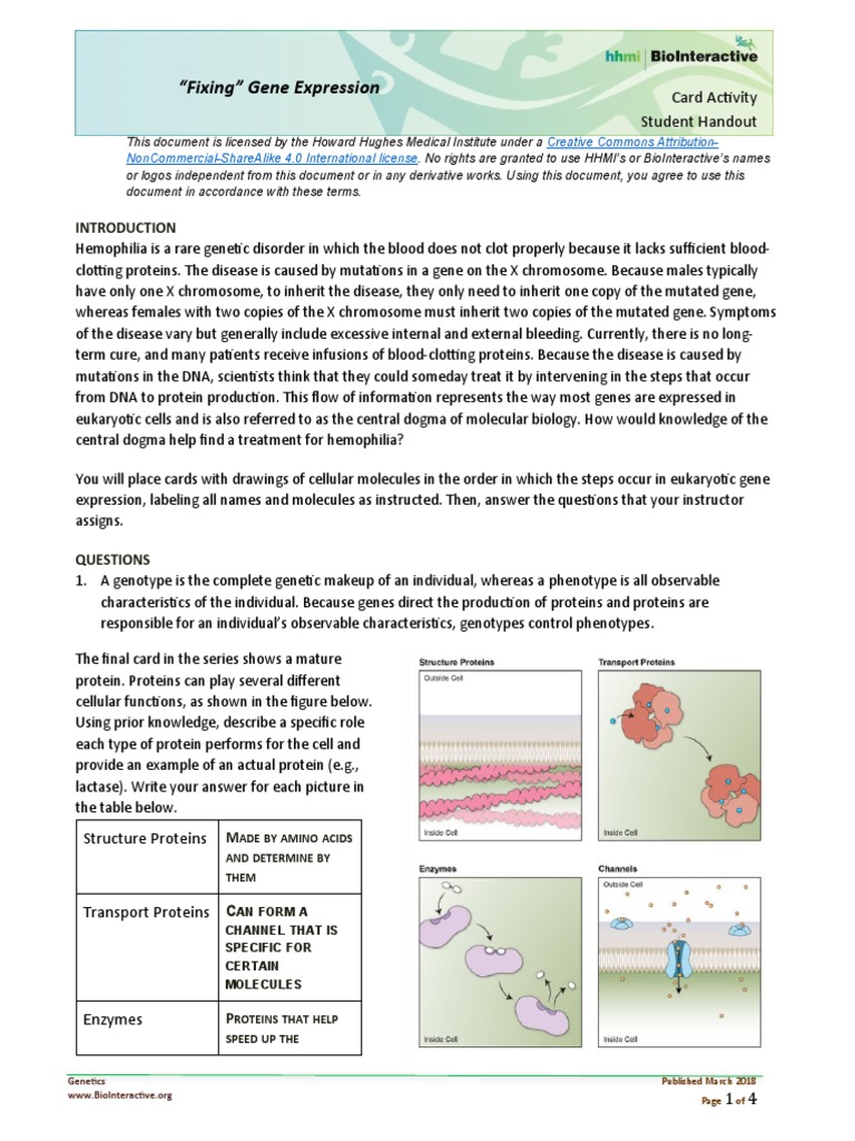 Fixing Gene Expression Activity Student Handout | PDF | Gene | Hemoglobin