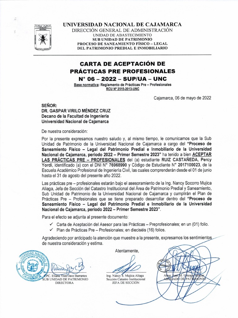 Ruiz Castañeda | PDF