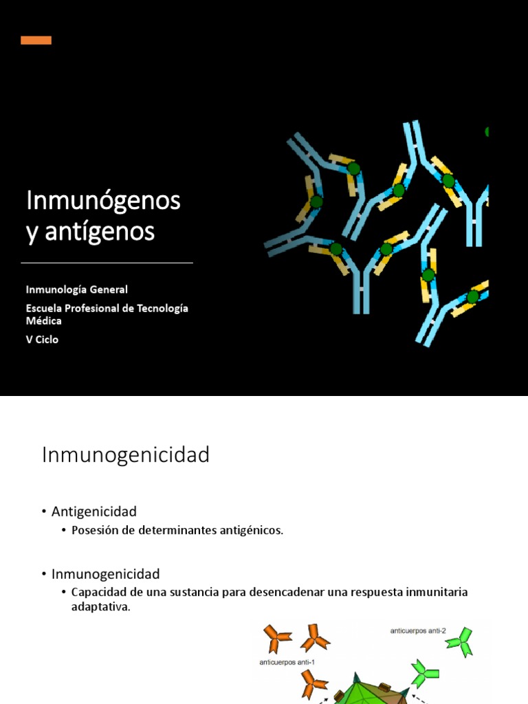 Inmunogenicidad y Antigenicidad en Inmunología | PDF | Antígeno ...