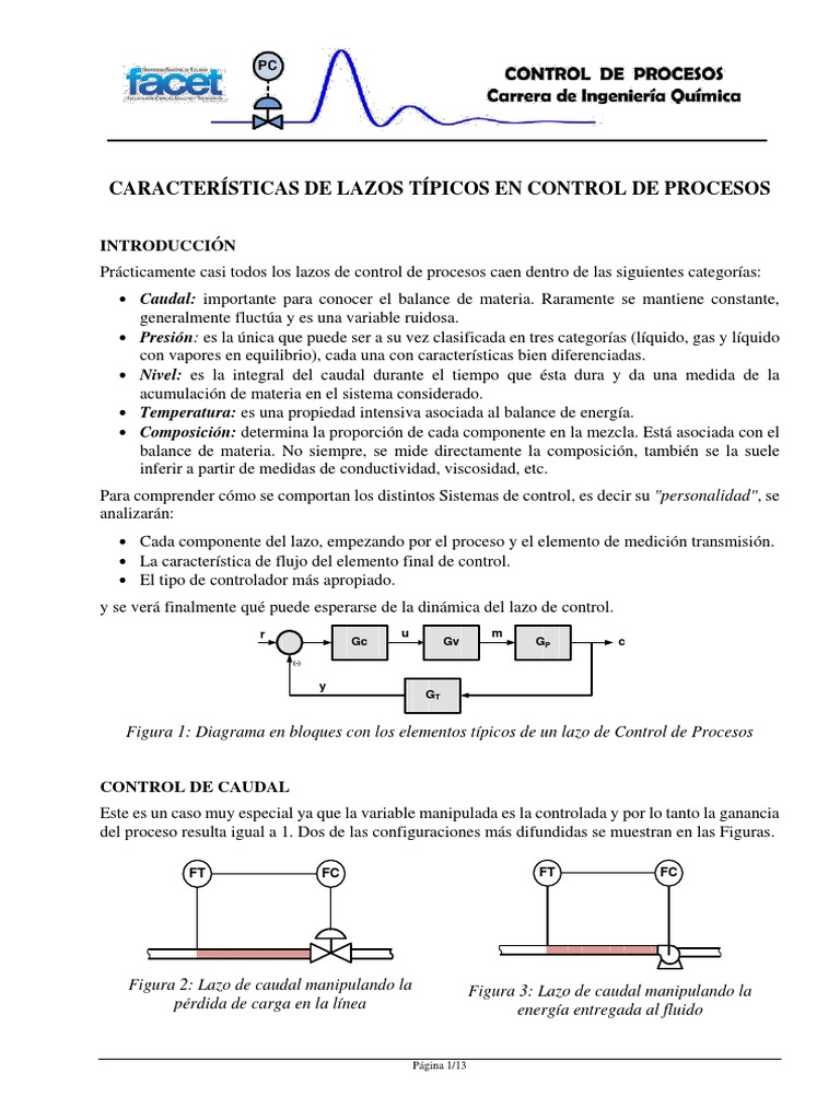 Lazos de Control de Caudal en Procesos | PDF | Gases | Líquidos