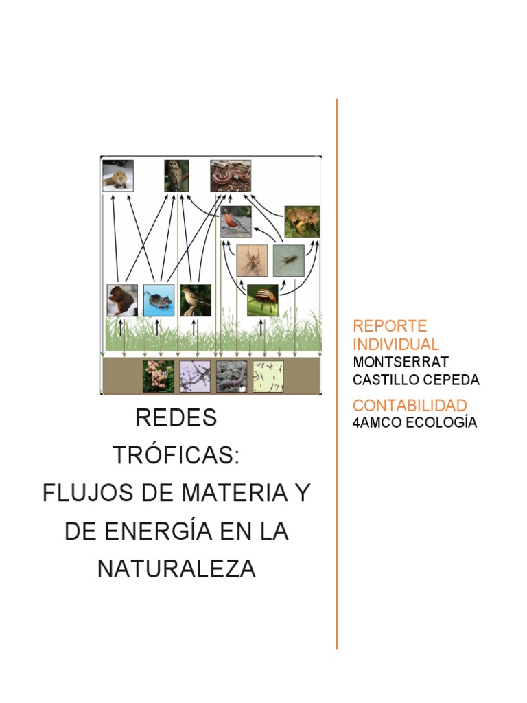 Redes Tróficas: Flujos de Materia Y de Energía en La Naturaleza ...