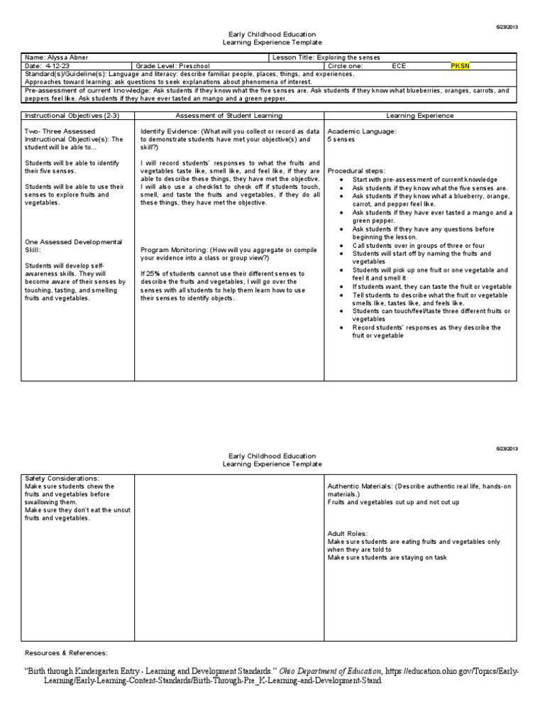 313 Exploring The Senses Lesson Plan 2 | PDF | Senses | Experience