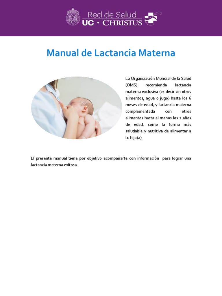 Manual De Lactancia Materna V 2 0 Pdf