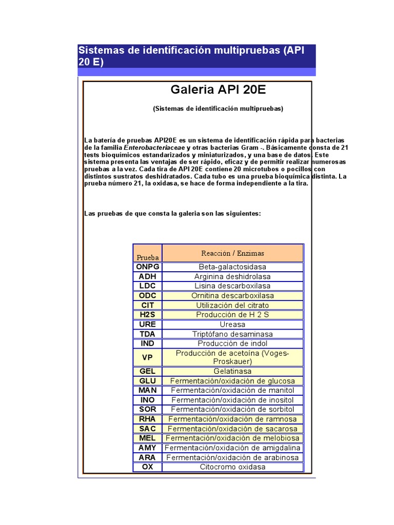 Galeria API 20E | PDF | Salmonela
