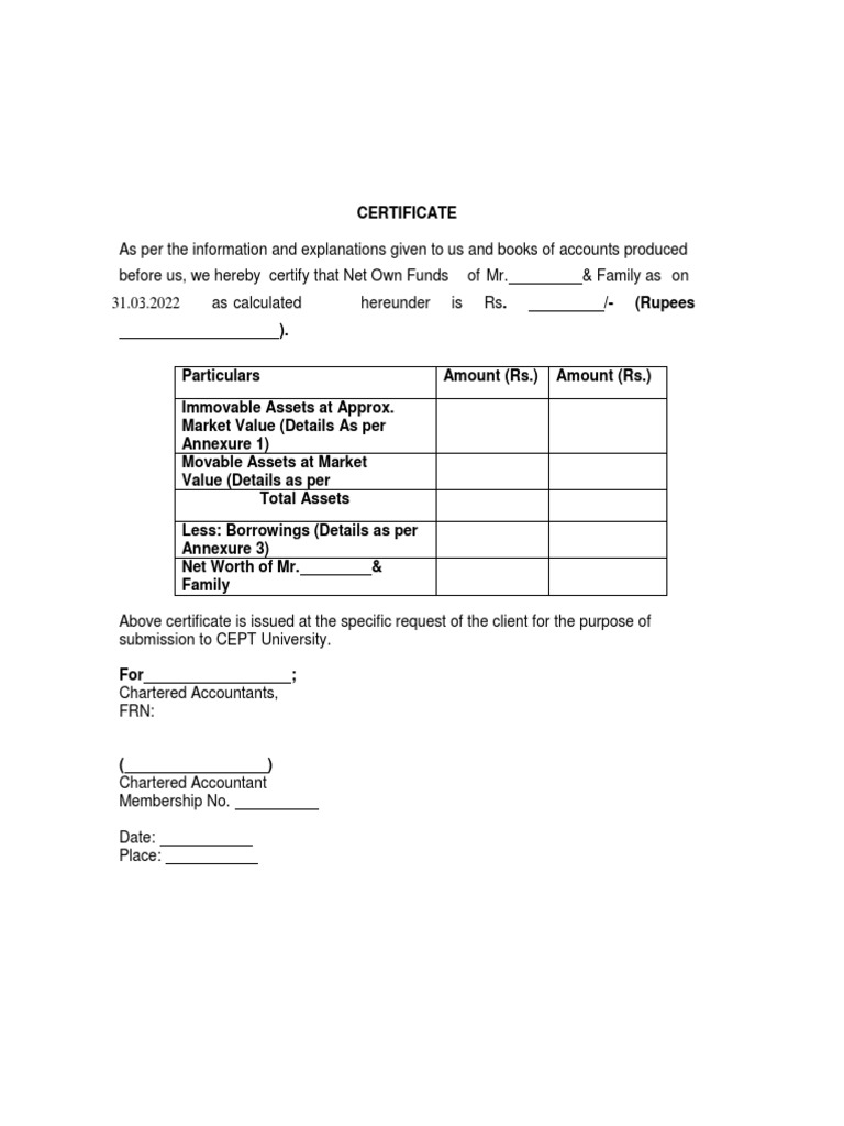 Net Worth Certificate 2023 | PDF
