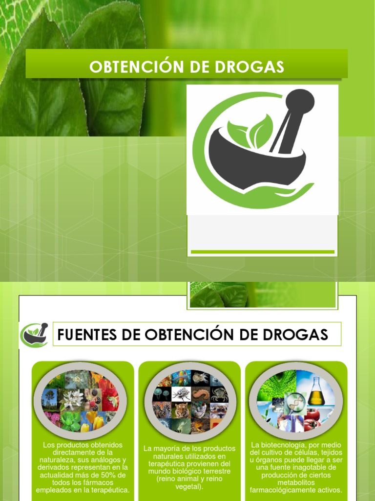 Obtención de Drogas | PDF | Plantas medicinales | Plantas