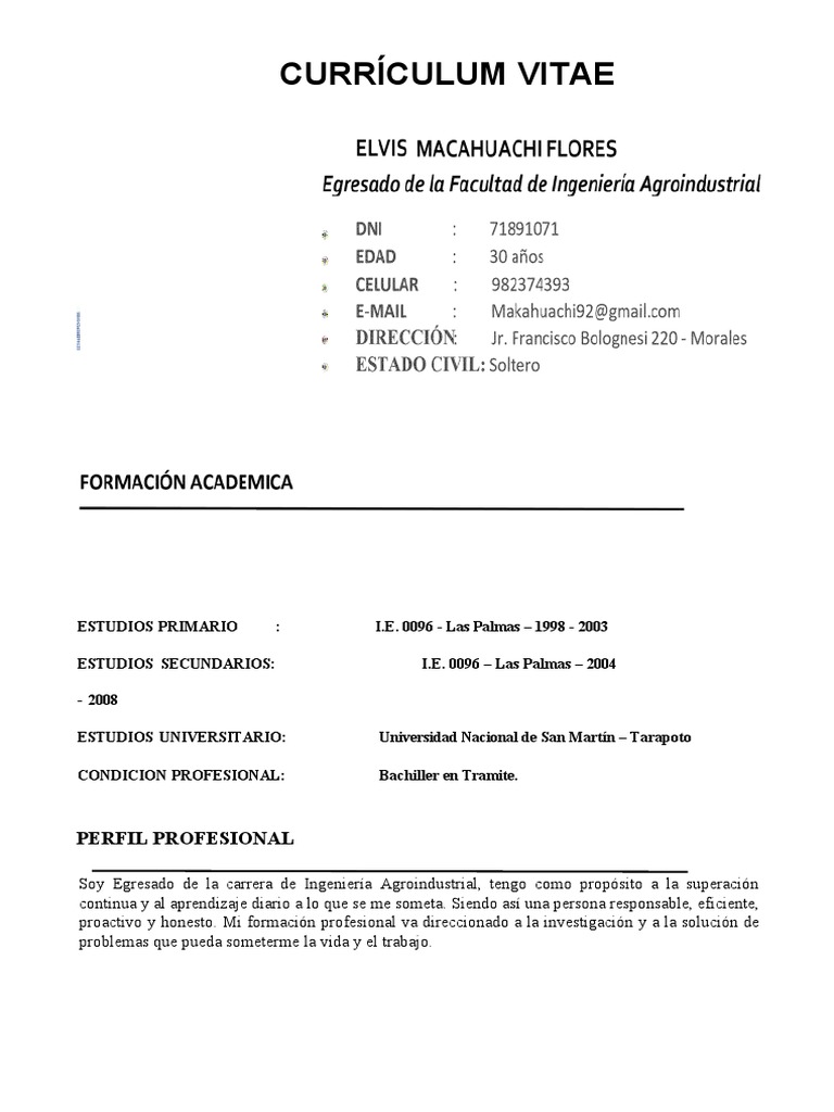 CV Elvis Macahuachi | PDF
