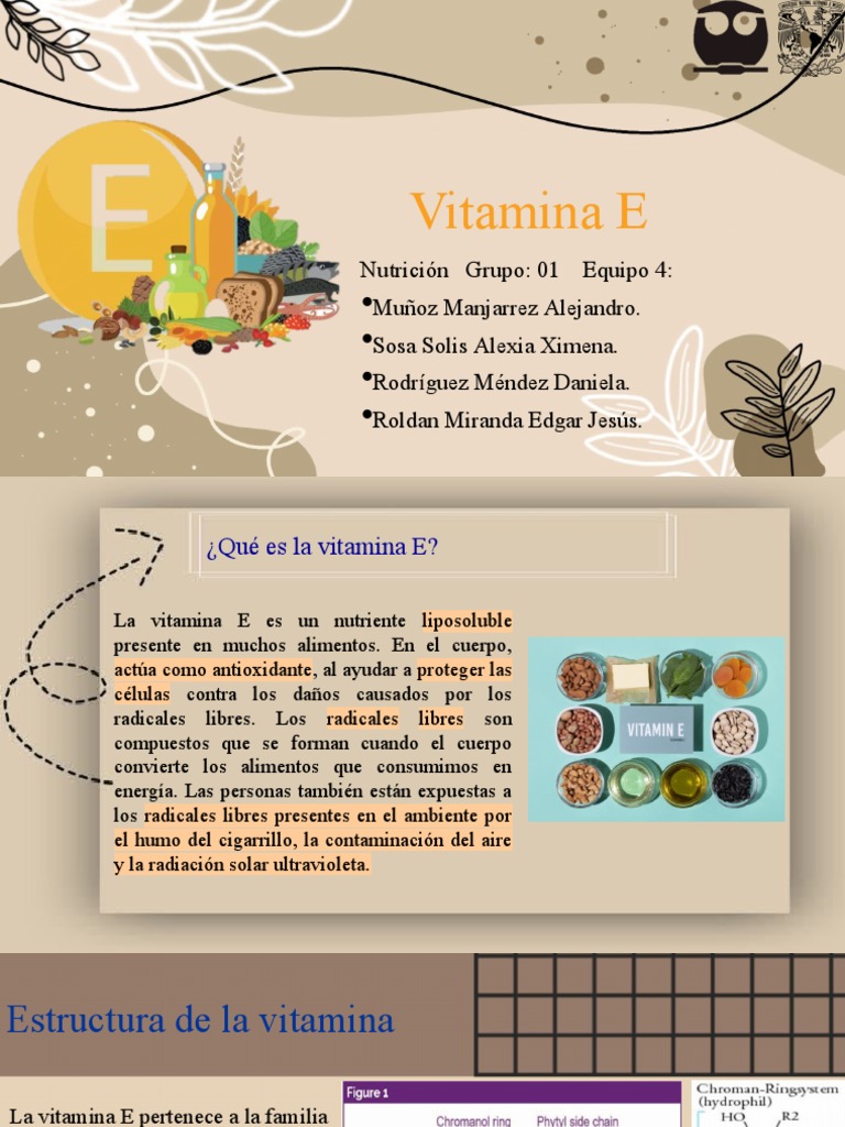 Guía Completa sobre Vitamina E | PDF