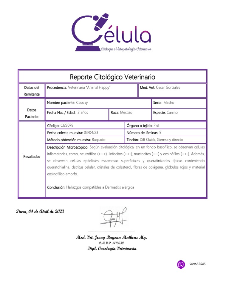 Informe Citológico CI23079 - COOCKY | PDF