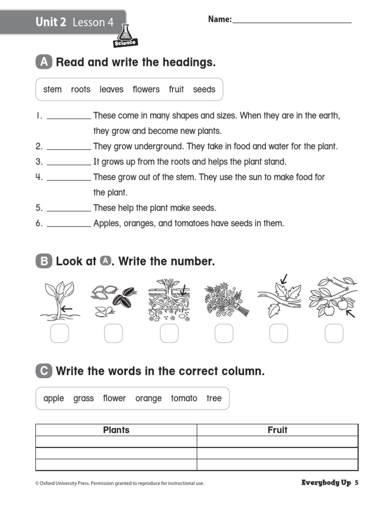 EU2e L5 Unit2Lesson4 WKST | PDF