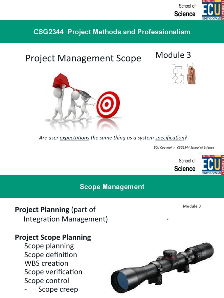 CSG2344 Module 3 Scope Slides | PDF