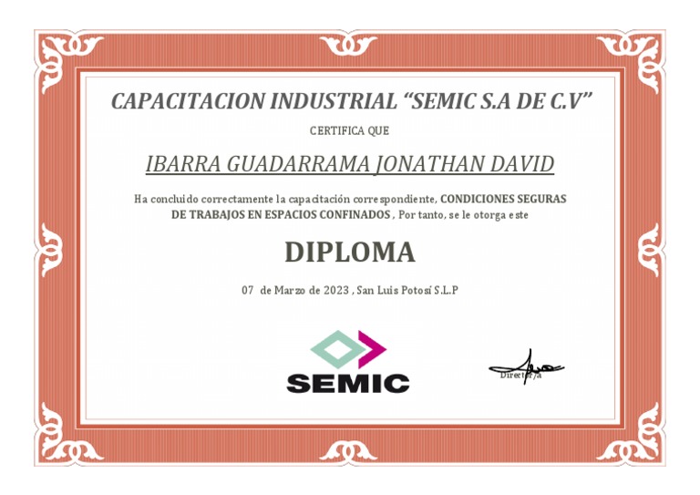 Diploma David Ibarra Alturas | PDF
