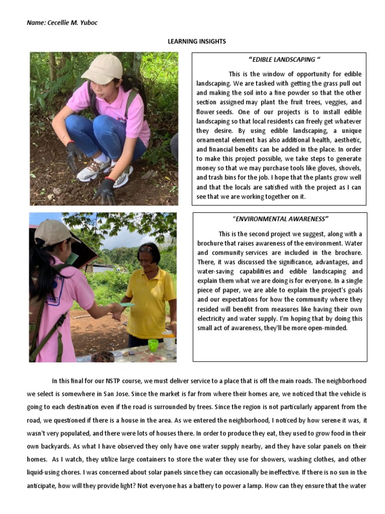 Learning Insights NSTP | PDF