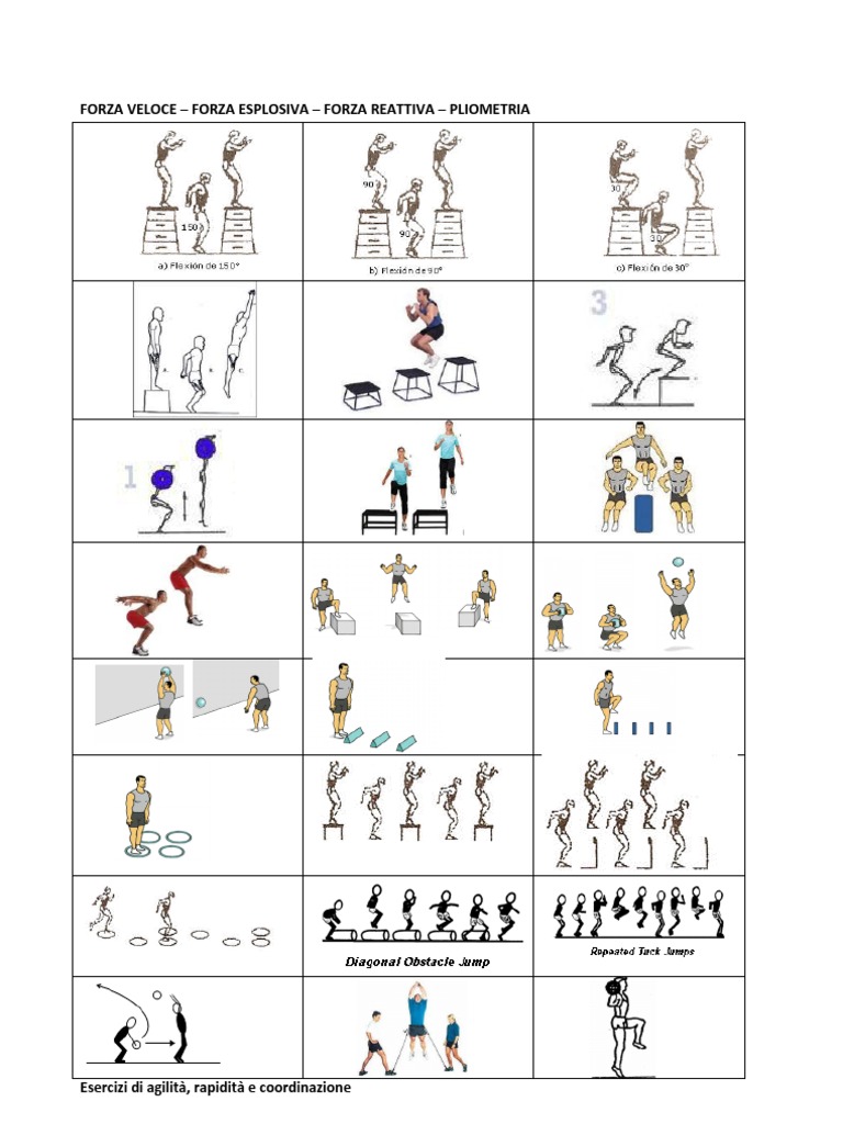 Esercizi Palestra | PDF