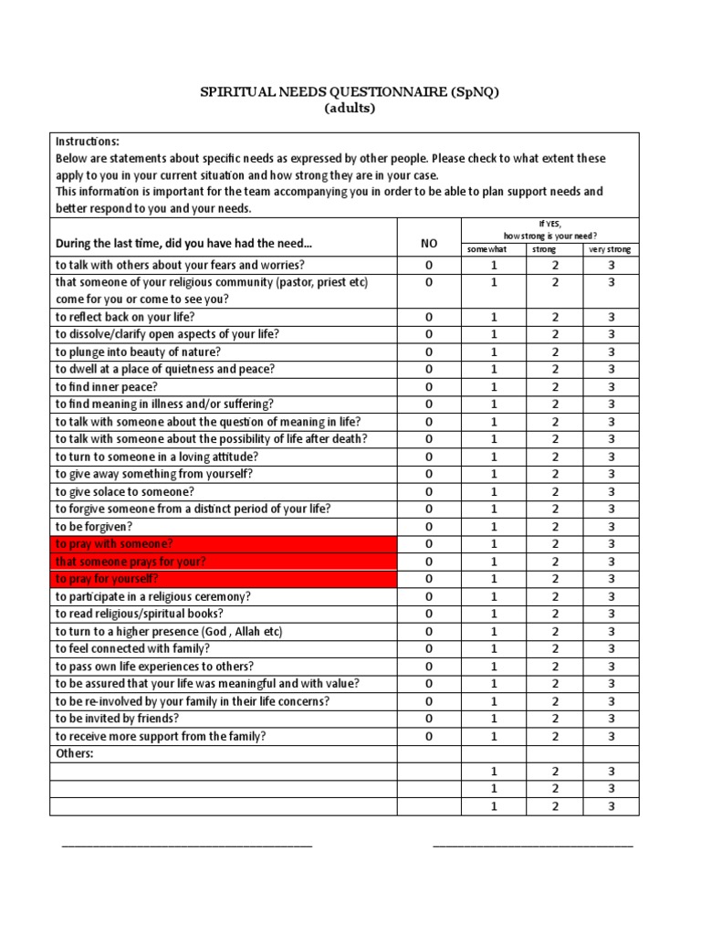 SIRITUAL NEEDS QUESTIONNAIRE (SPQN) | Download Free PDF | Behavioural ...