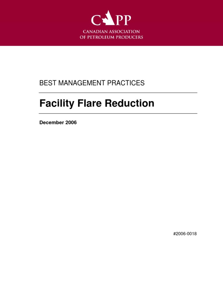 Best Practices for Flare Reduction | PDF | Natural Gas | Safety