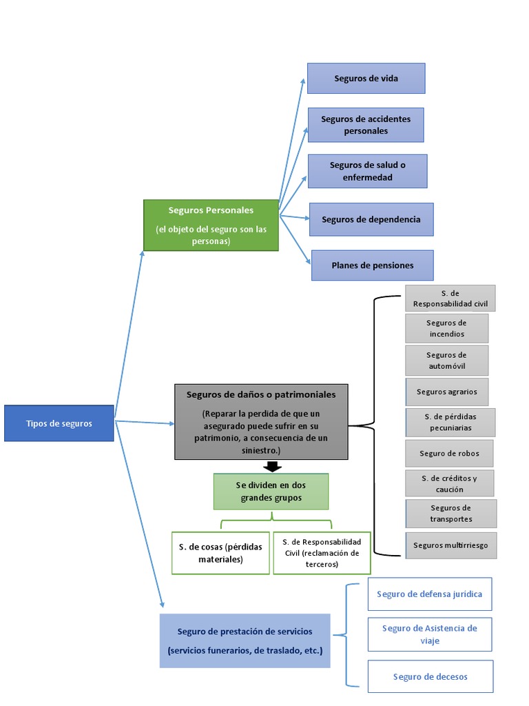 Mapa Conceptual Tipos de Seguros | PDF