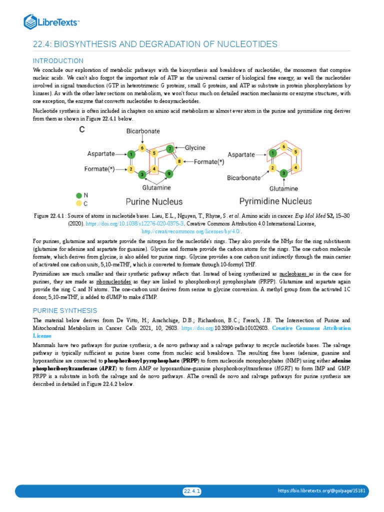 22.04 Biosynthesis and Degradation of Nucleotides | PDF | Nucleotides ...
